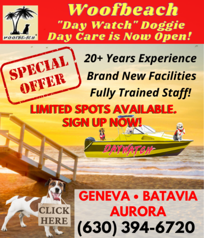 Dog Grooming Batavia IL | WoofBeach Dog Care, Dog Training