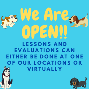 Dog Training | Pet Grooming | Pet Boarding | Woof Beach